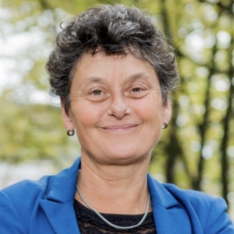 Tineke Strik « Rainbowvote.NU